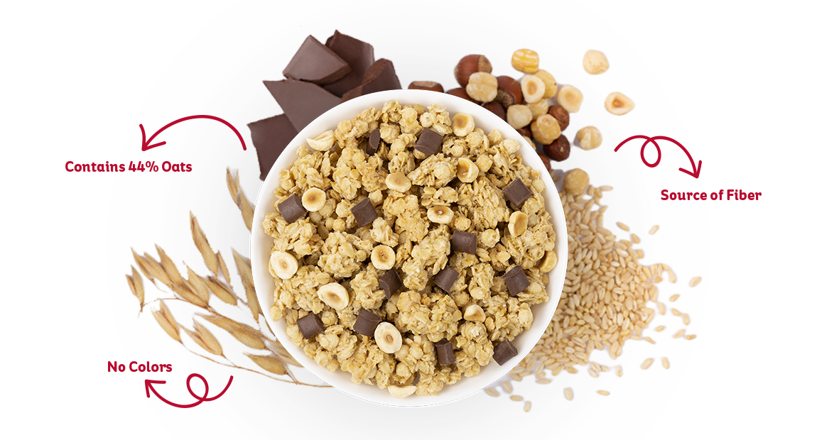 Kellogg’s Granola – Chocolate with Hazelnuts (600g) – FoodVera